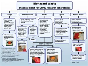 Biowaste Flow Chart | Office of Environmental Health & Safety ...
