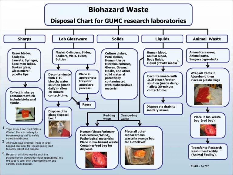 Biowaste Flow Chart | Office of Environmental Health & Safety ...